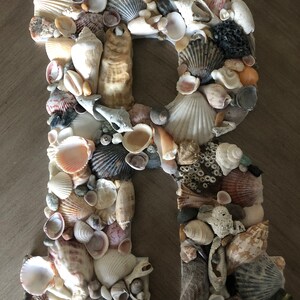 Monogram Seashell Decor - Etsy