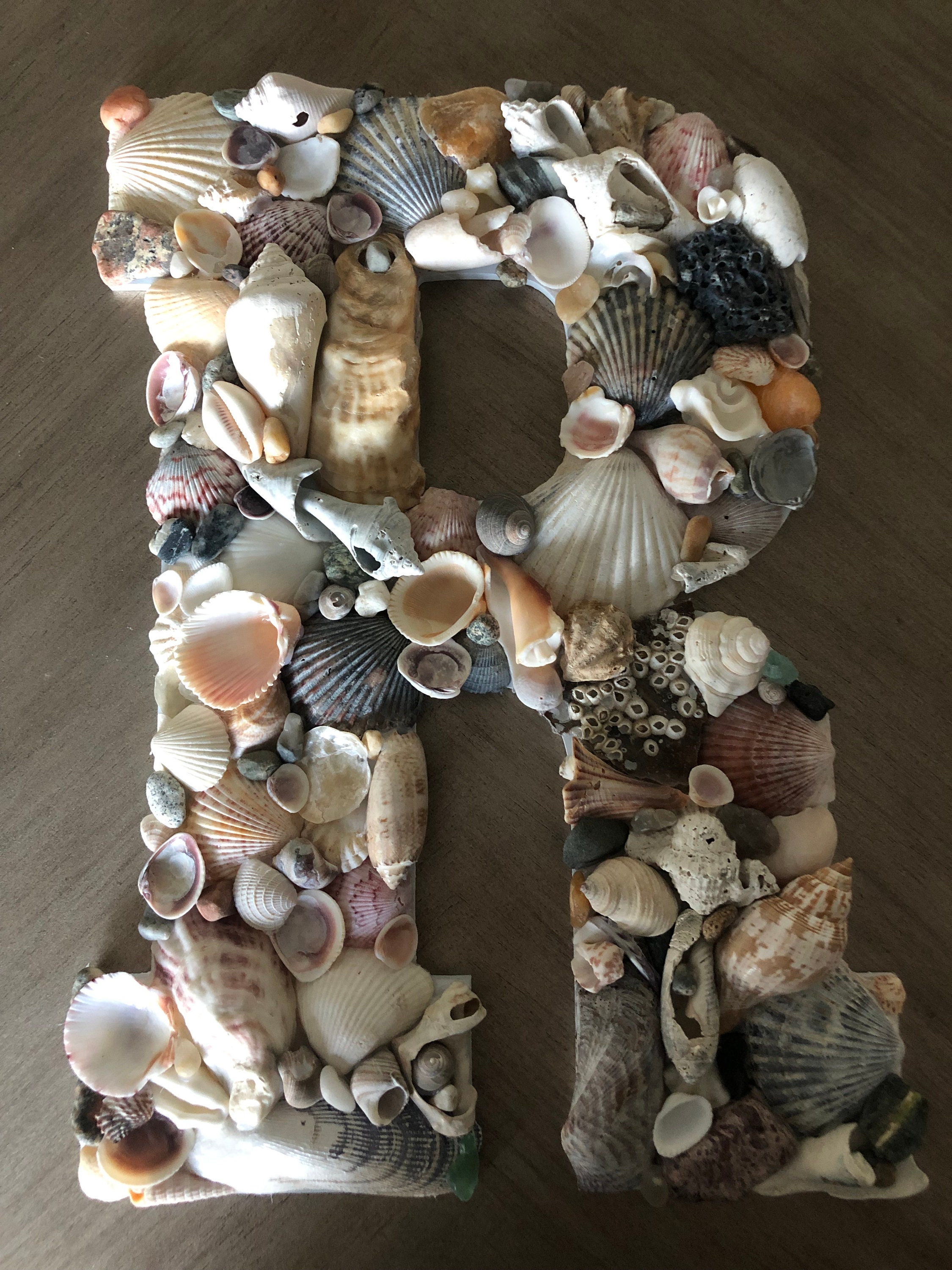 Monogram Seashell Decor - Etsy