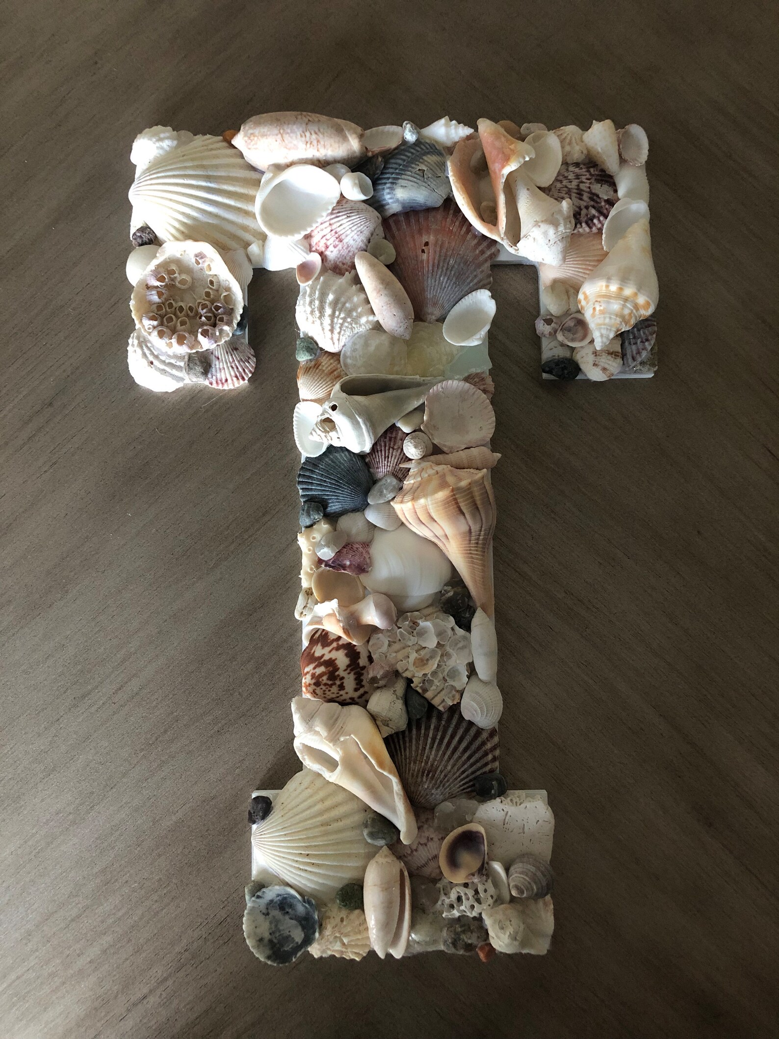 Monogram Seashell Decor - Etsy
