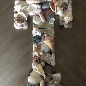 Monogram Seashell Decor - Etsy