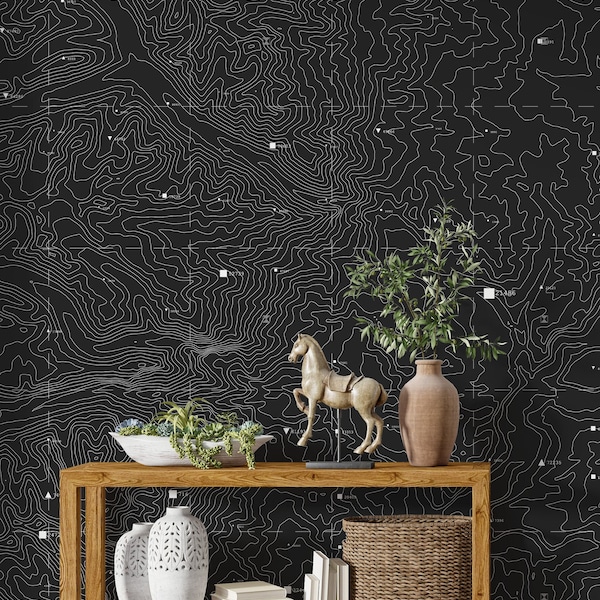 Peel and Stick Wallpaper Topographic Map - Etsy