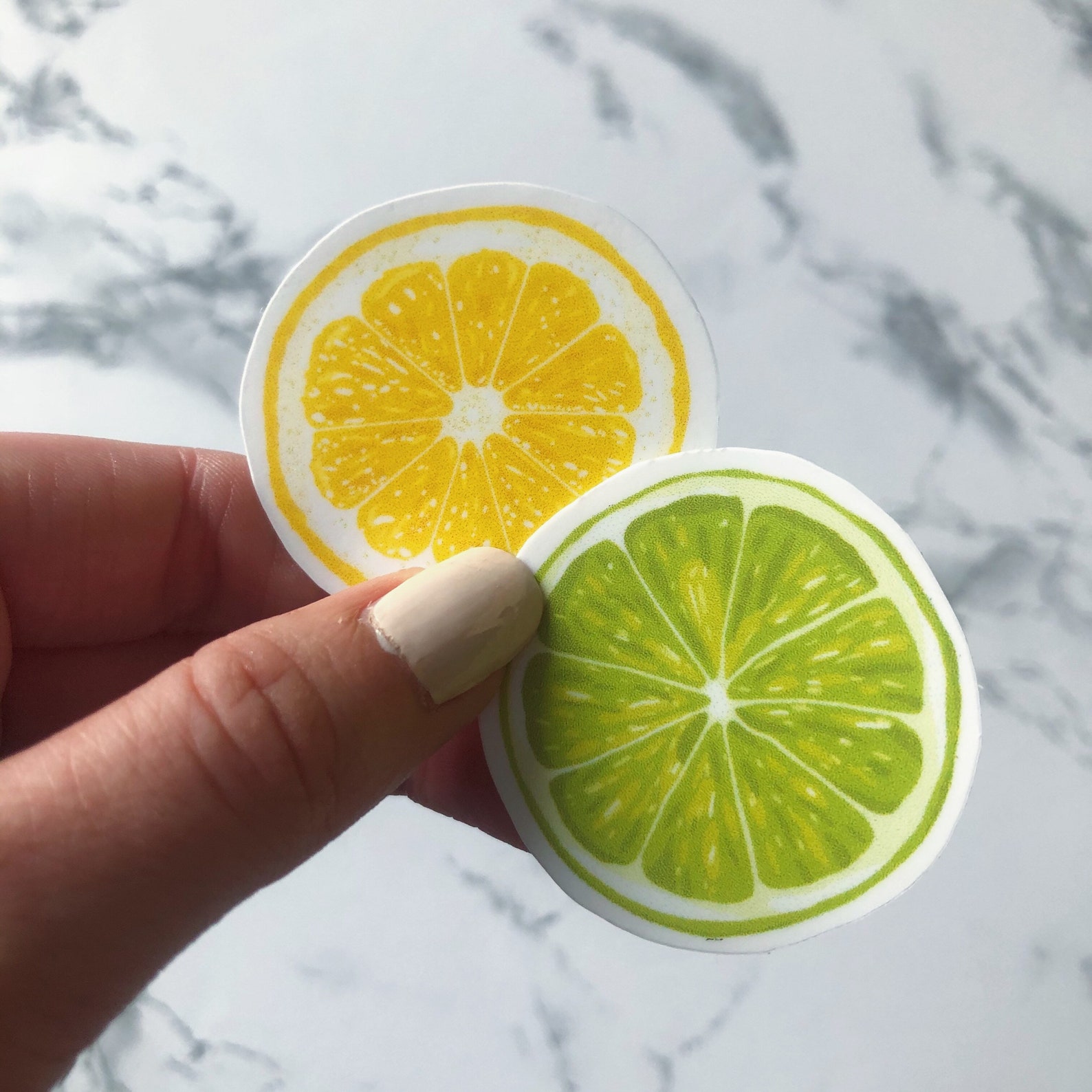 Lemon and Lime Sticker Duo | Etsy