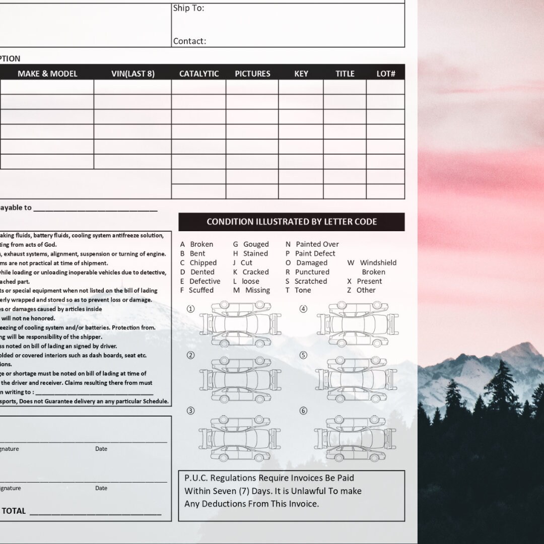 Vehicle Bill of Lading Template for 6 Cars / Business Form Template ...