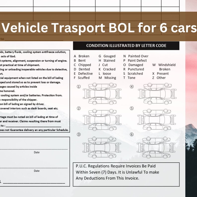Vehicle Bill of Lading Template for 6 Cars / Business Form Template ...