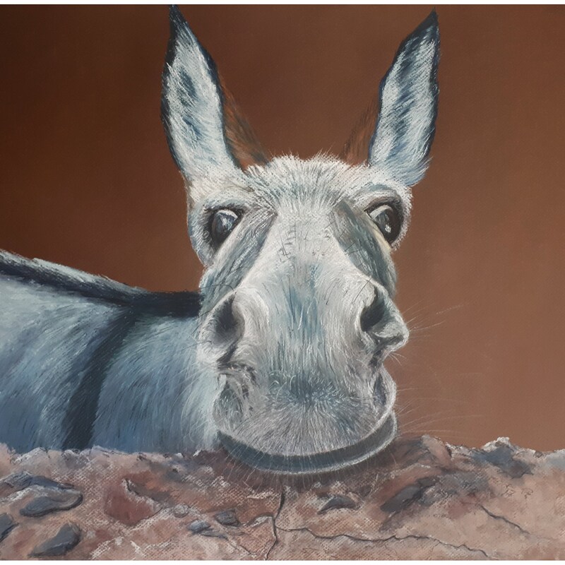 Donkey Paintings - Etsy