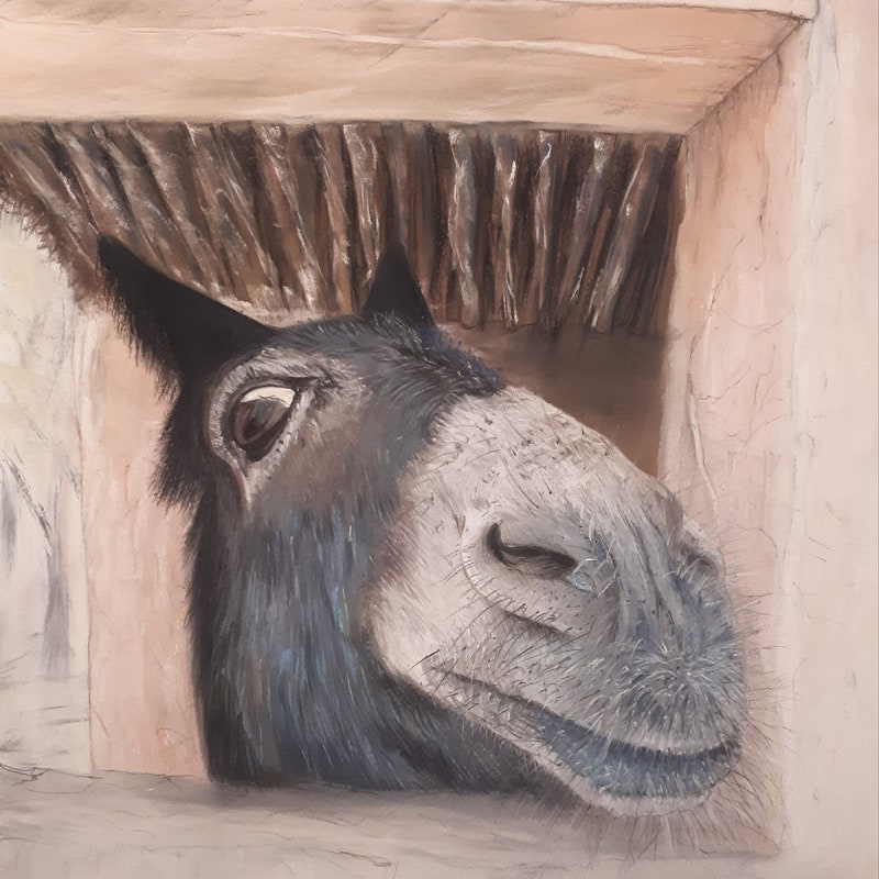Donkey Paintings - Etsy