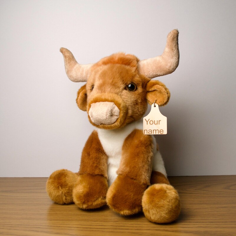 Longhorn Gifts - 60+ Gift Ideas for 2025