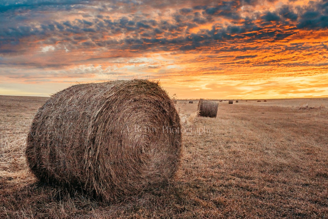 Haybales at Sunset Photo Fine Art Photography Prairie - Etsy