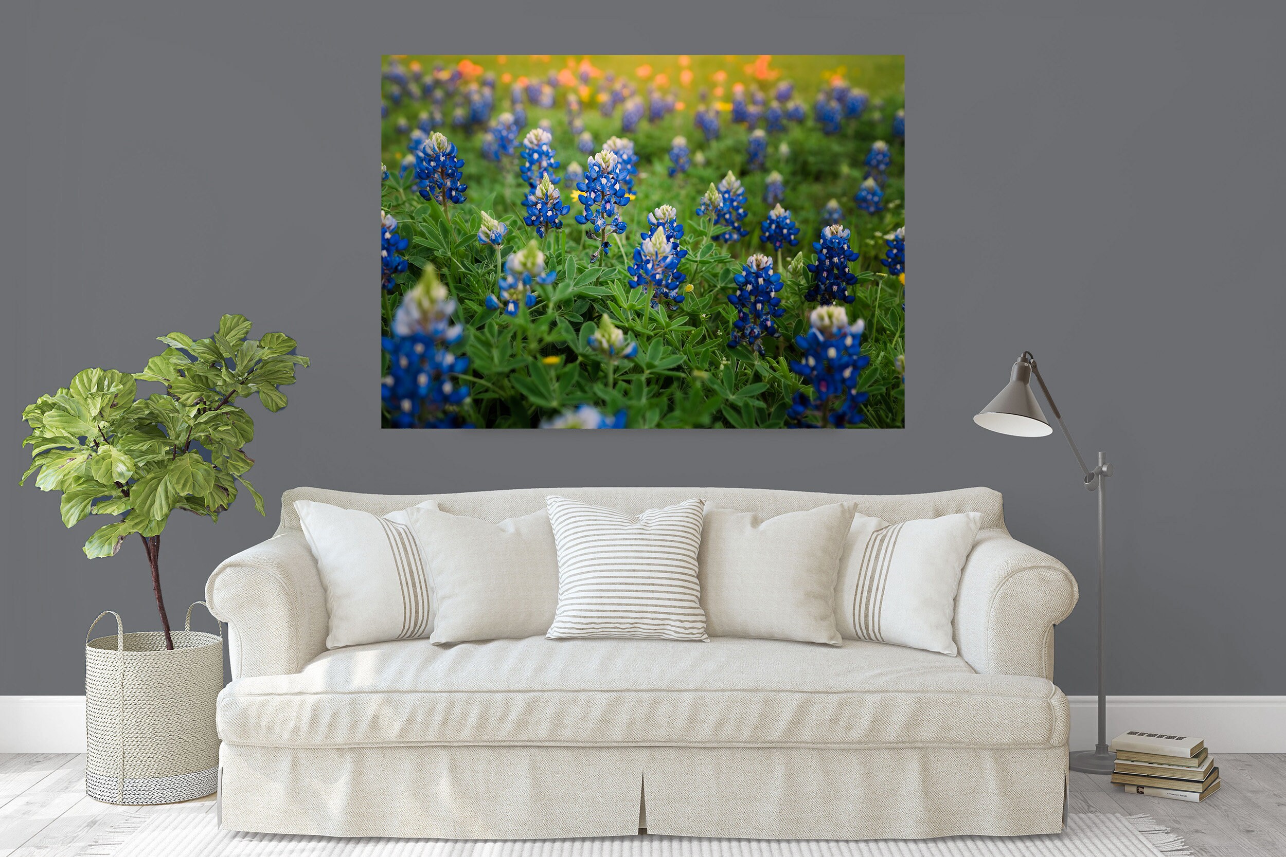 Texas Bluebonnet Wildflower Canvas, Bluebonnet Print, Bluebonnet Fine ...
