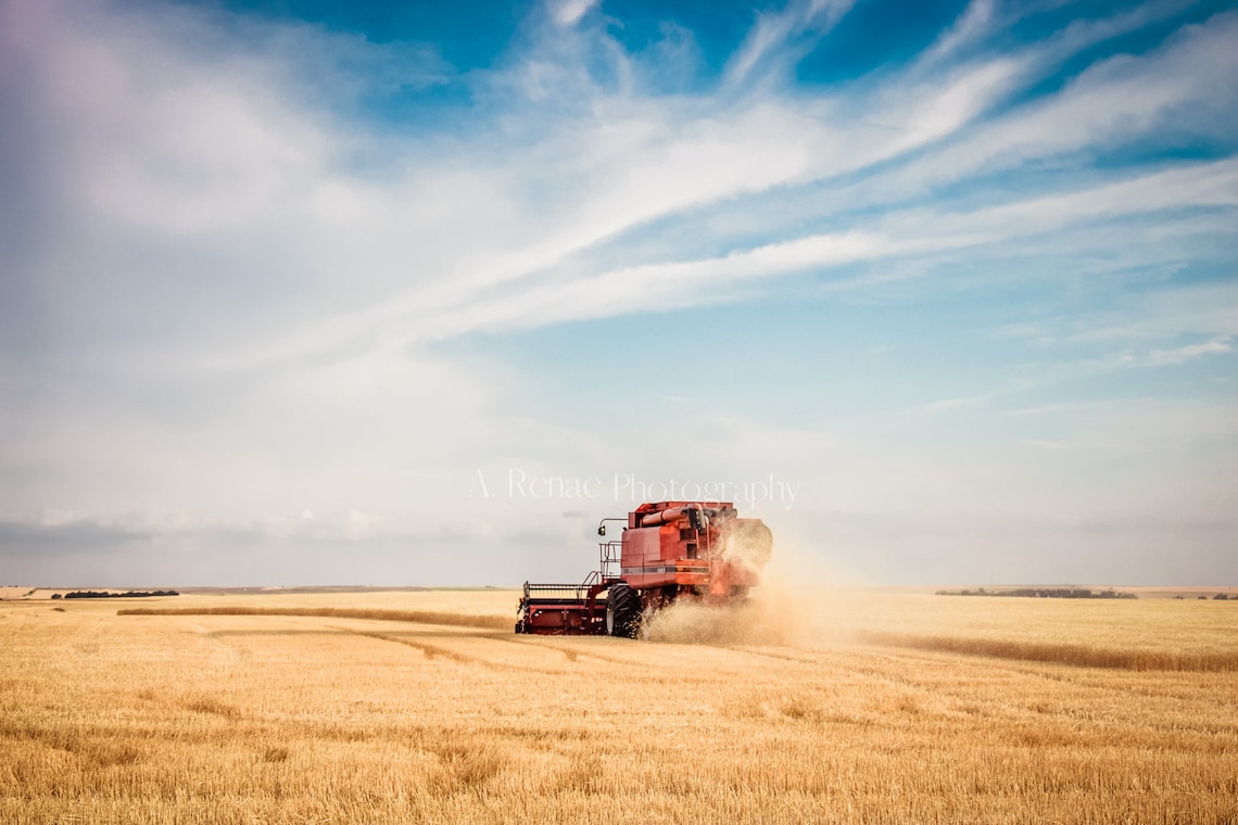 Kansas Wheat Harvest Fine Art Wheat Field Fine Art Print - Etsy