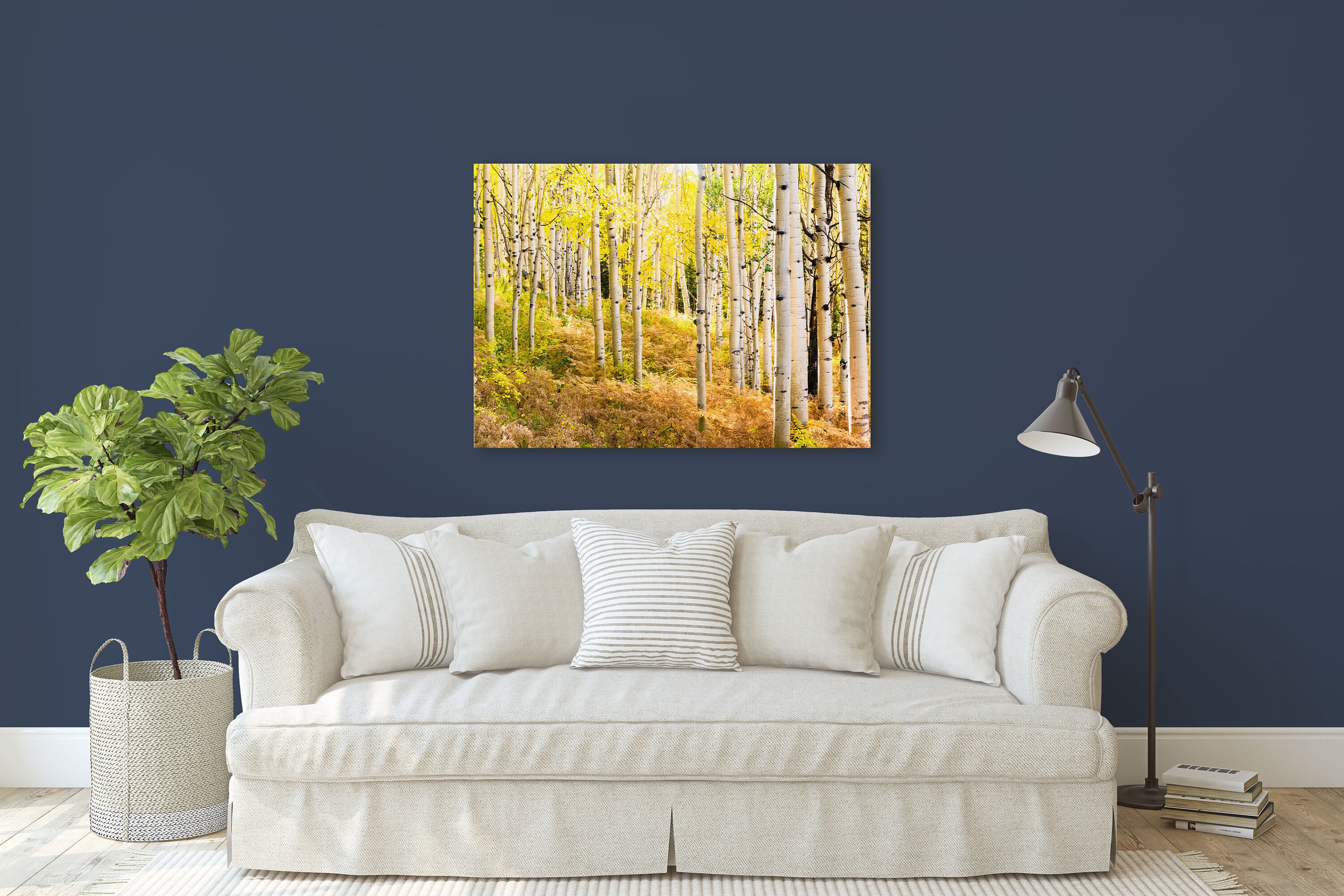 Large Aspen Trees Canvas Print, Aspen Tree Grove, Forest Photo, Nature ...