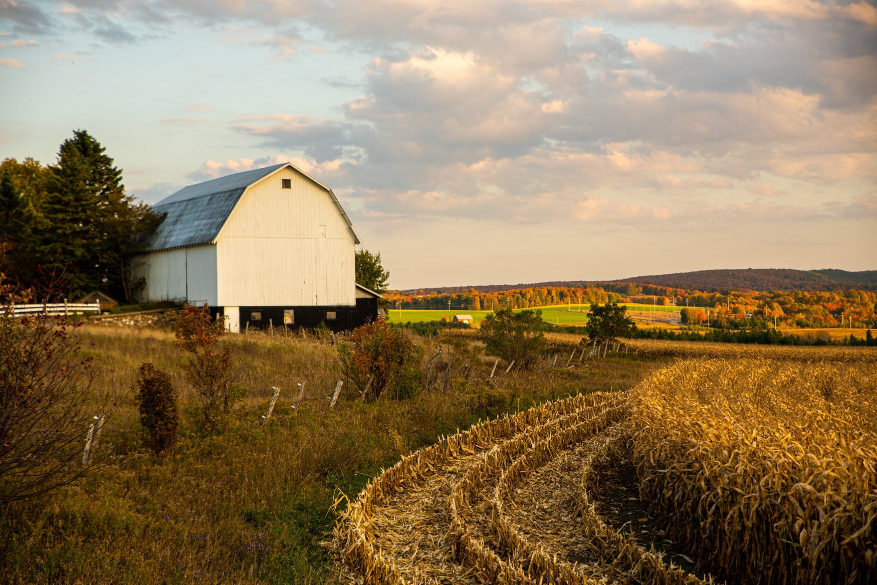 Autumn Barn at Golden Hour, Fine Art Photography, Farmhouse Art ...