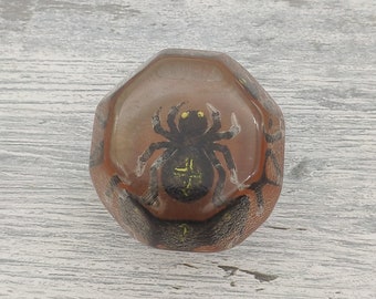 Spider Shift Knob - Etsy