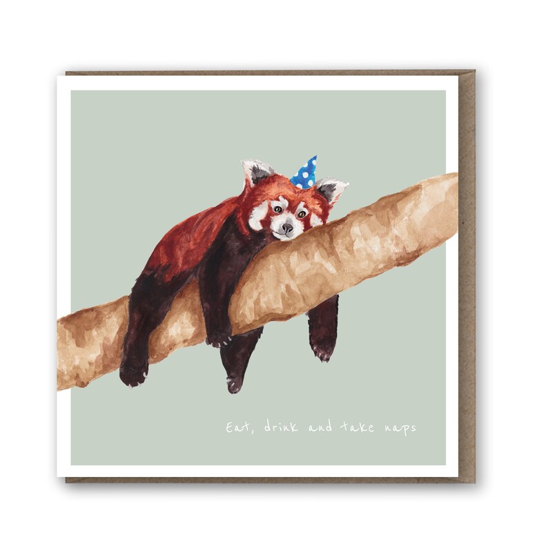 Napping Red Panda Birthday Card - Etsy