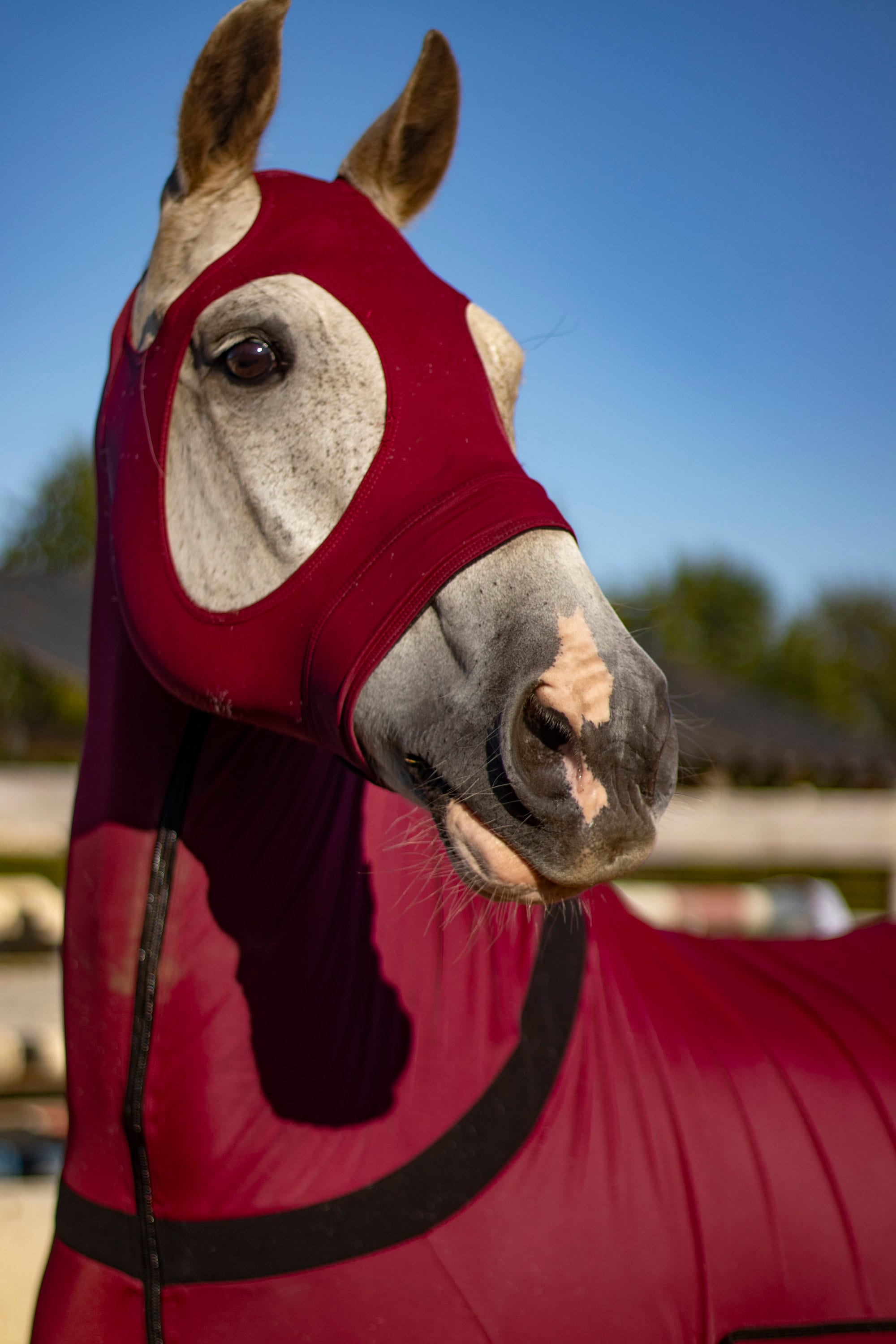 Lycra Slicker Full Body With Full Zip Mediumweight 220g - Etsy