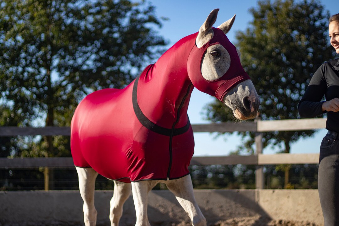 Lycra Slicker Full Body With Full Zip Mediumweight 220g - Etsy