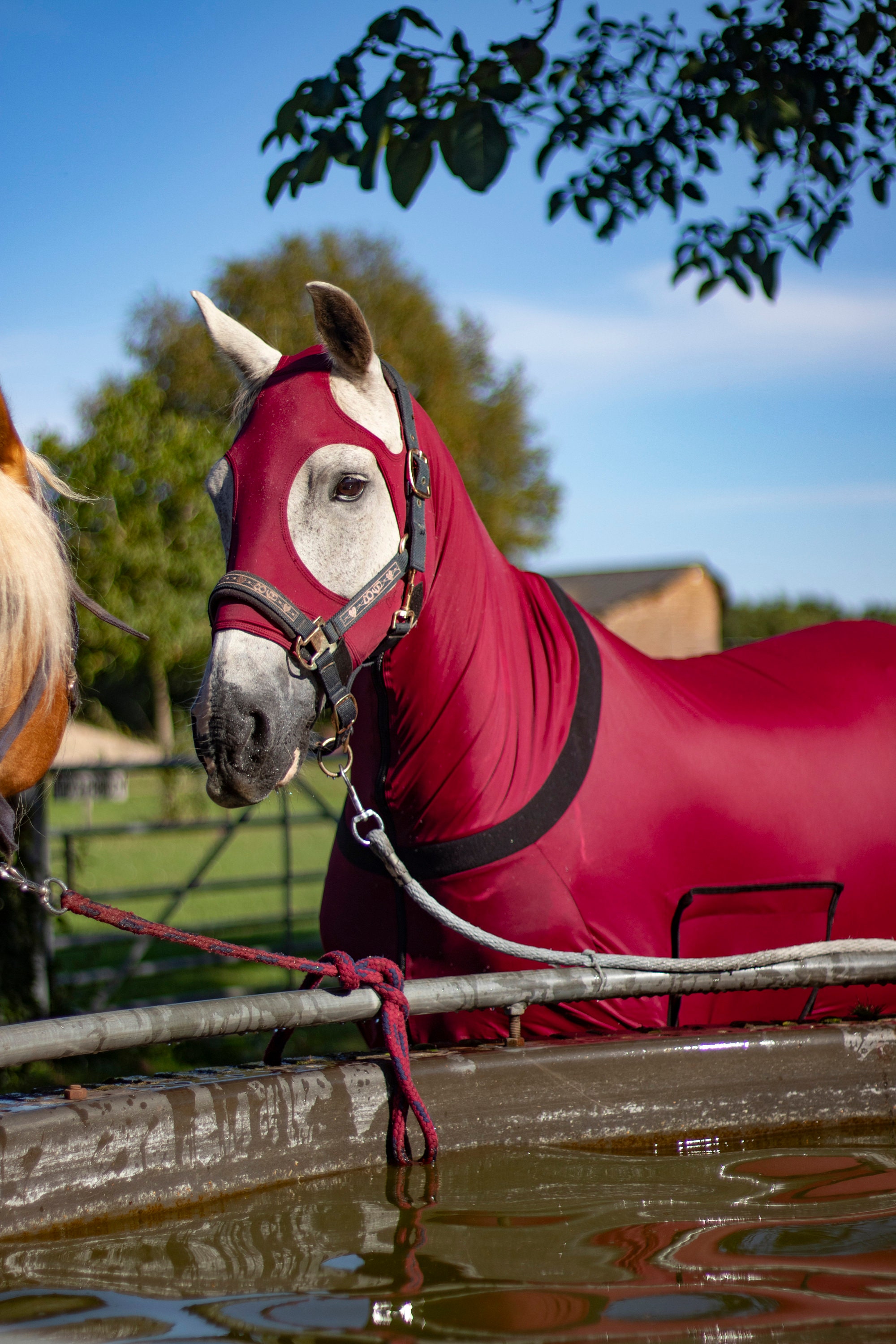 Lycra Slicker Full Body With Full Zip Mediumweight 220g - Etsy