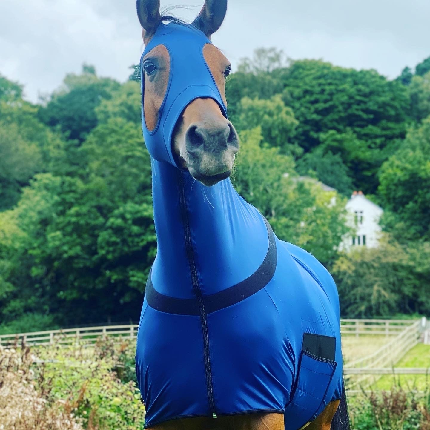 Lycra Slicker Full Body With Full Zip Mediumweight 220g - Etsy