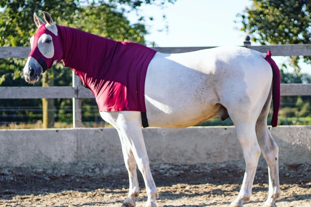 Stretch Lycra Horse Pony Hood With YKK Full Zip in XS-XL 8oz/220g - Etsy