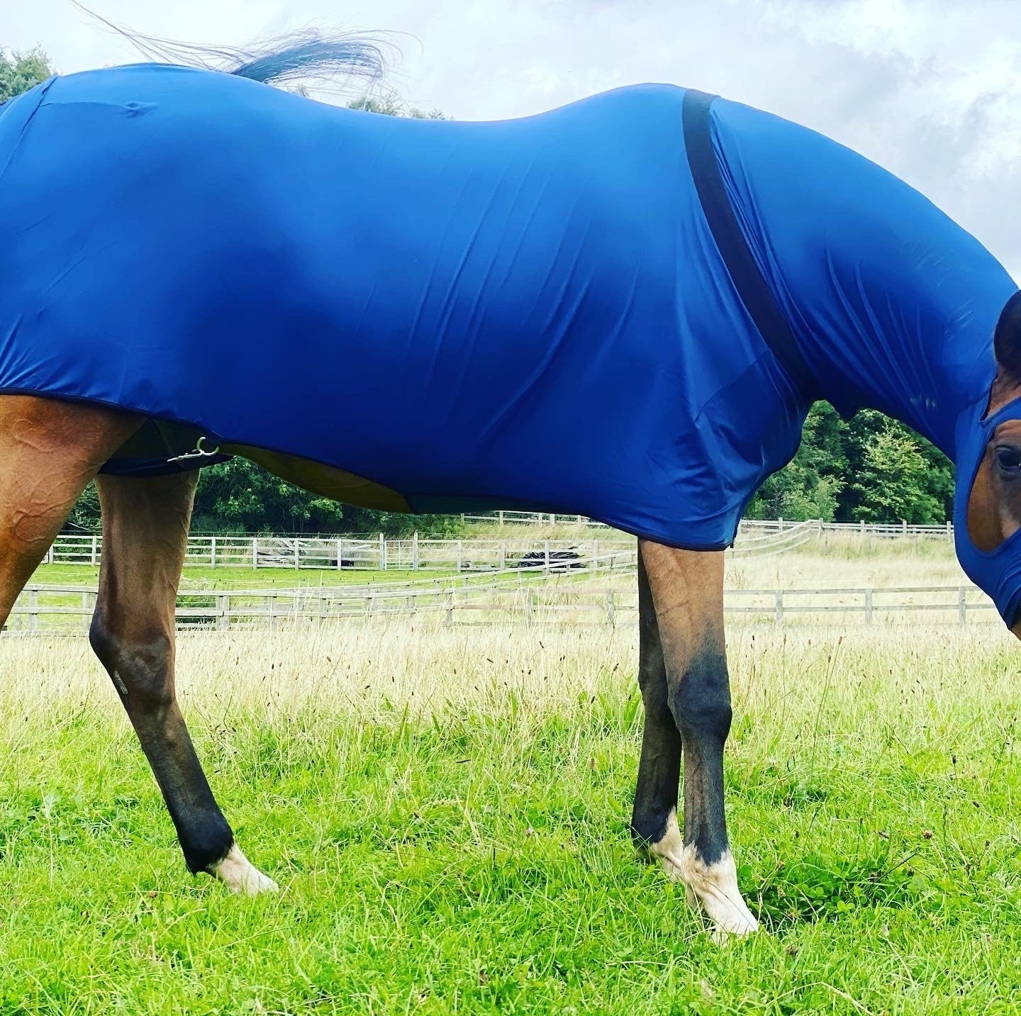 Lycra Slicker Full Body With Full Zip Mediumweight 220g - Etsy