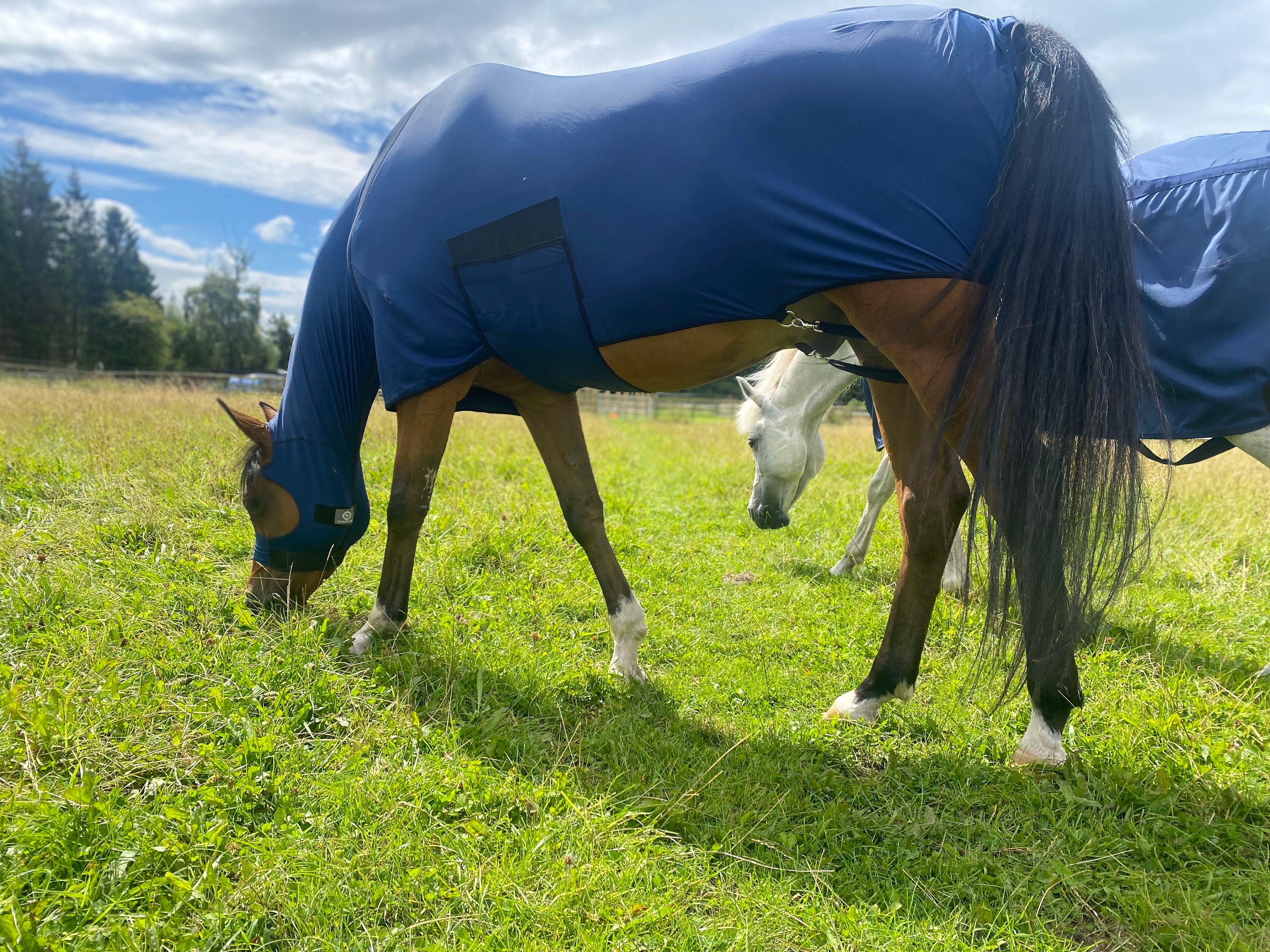 Lycra Slicker Full Body With Full Zip Mediumweight 220g - Etsy