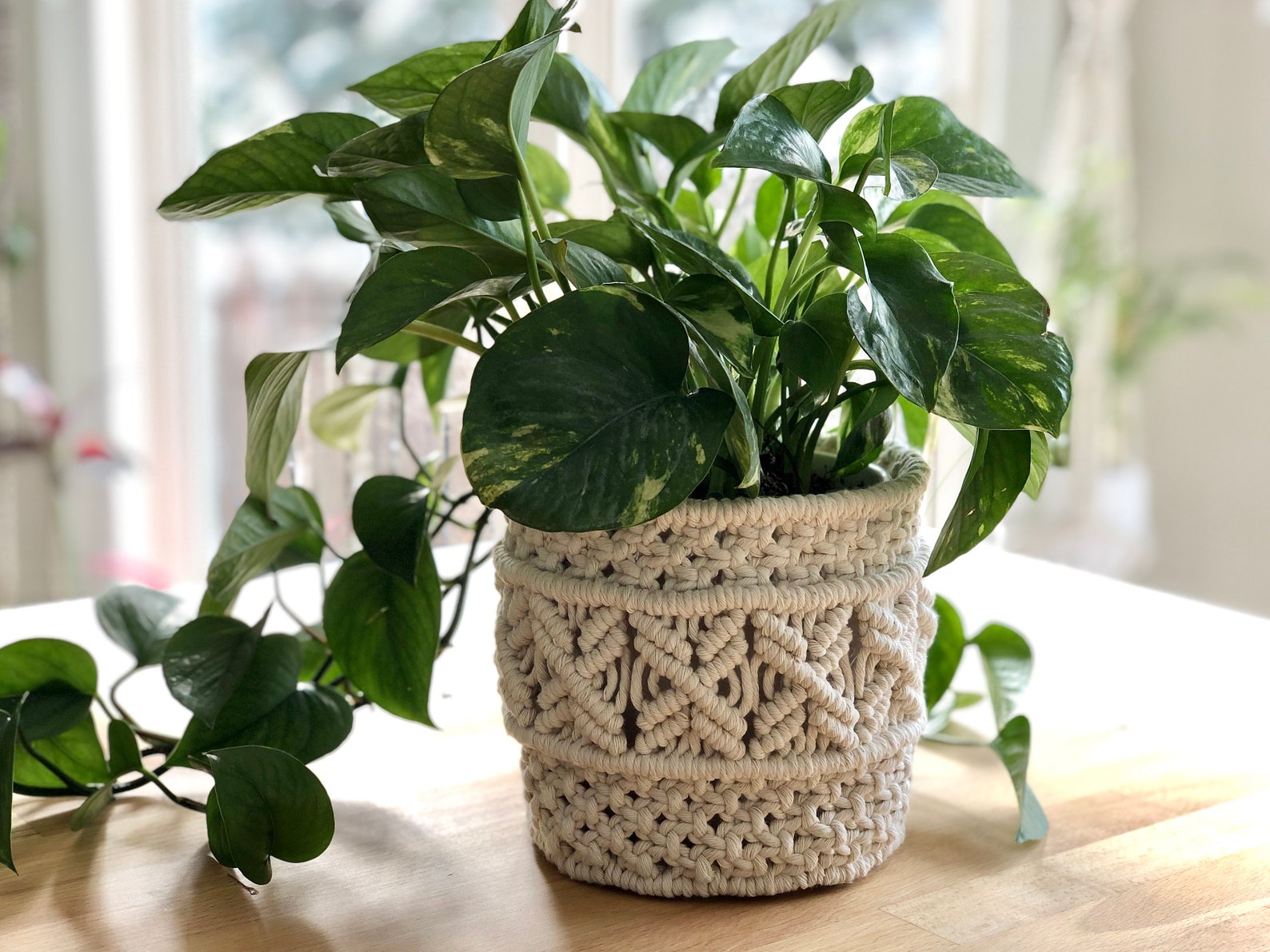 Macrame Basket Macrame Plant Pot Cozy Boho Inspired Home - Etsy