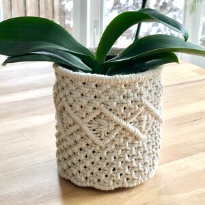 Macrame Basket | Macrame Plant Pot Cozy | Boho Inspired Home Decor ...