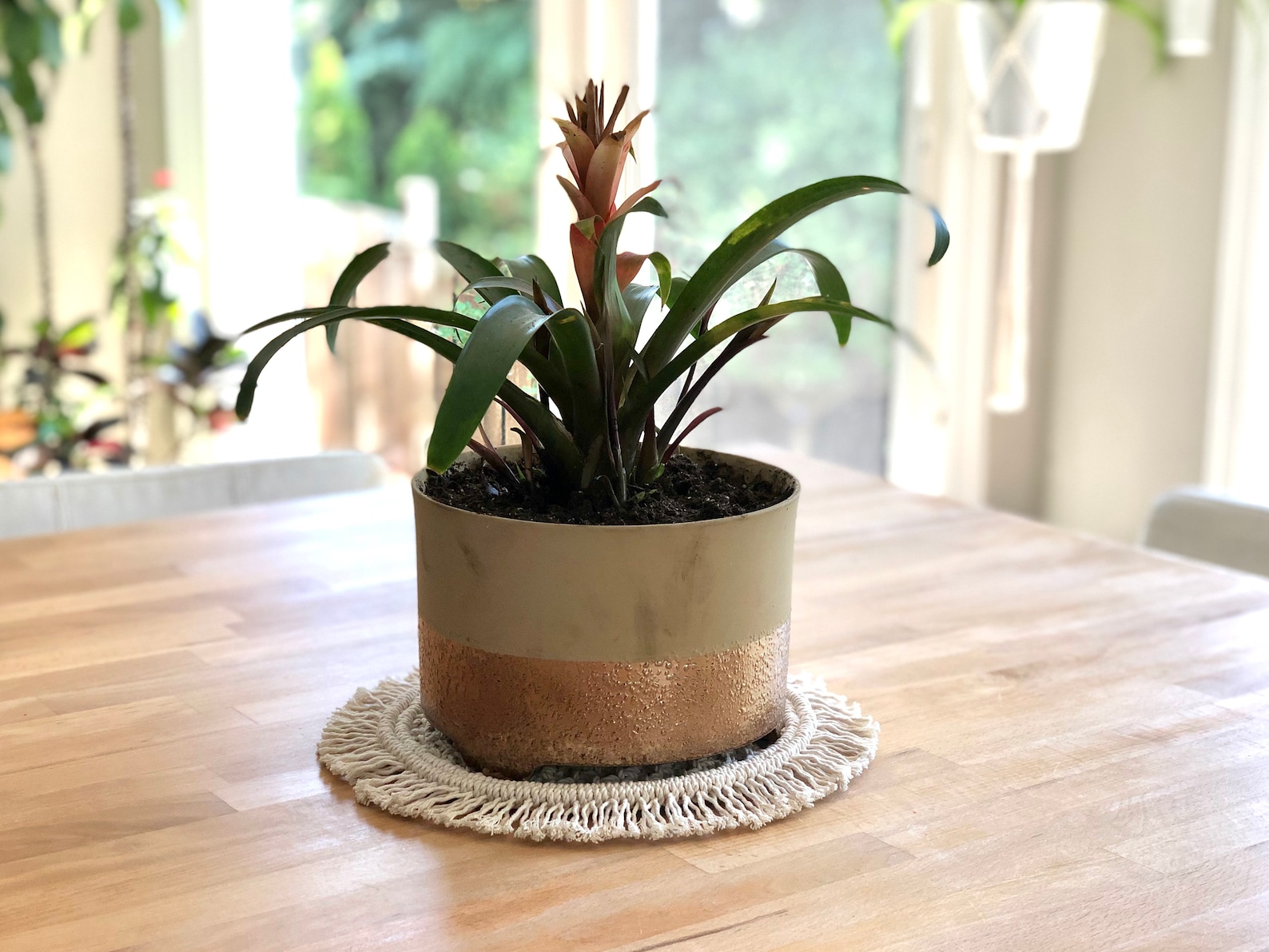 Macrame Doily Macrame Trivet Macrame Placemat Boho - Etsy