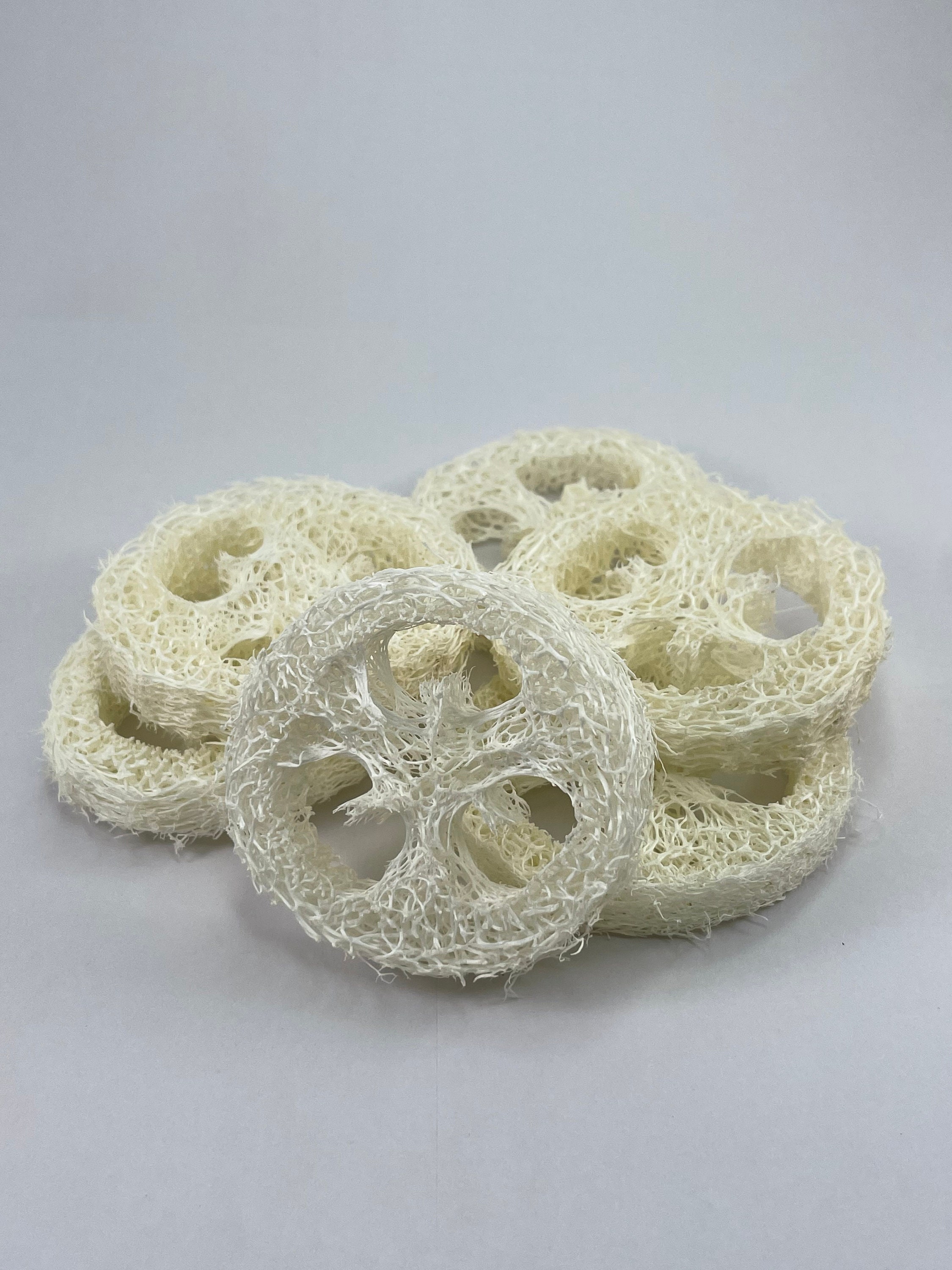 Loofah for Soapmaking 7/8