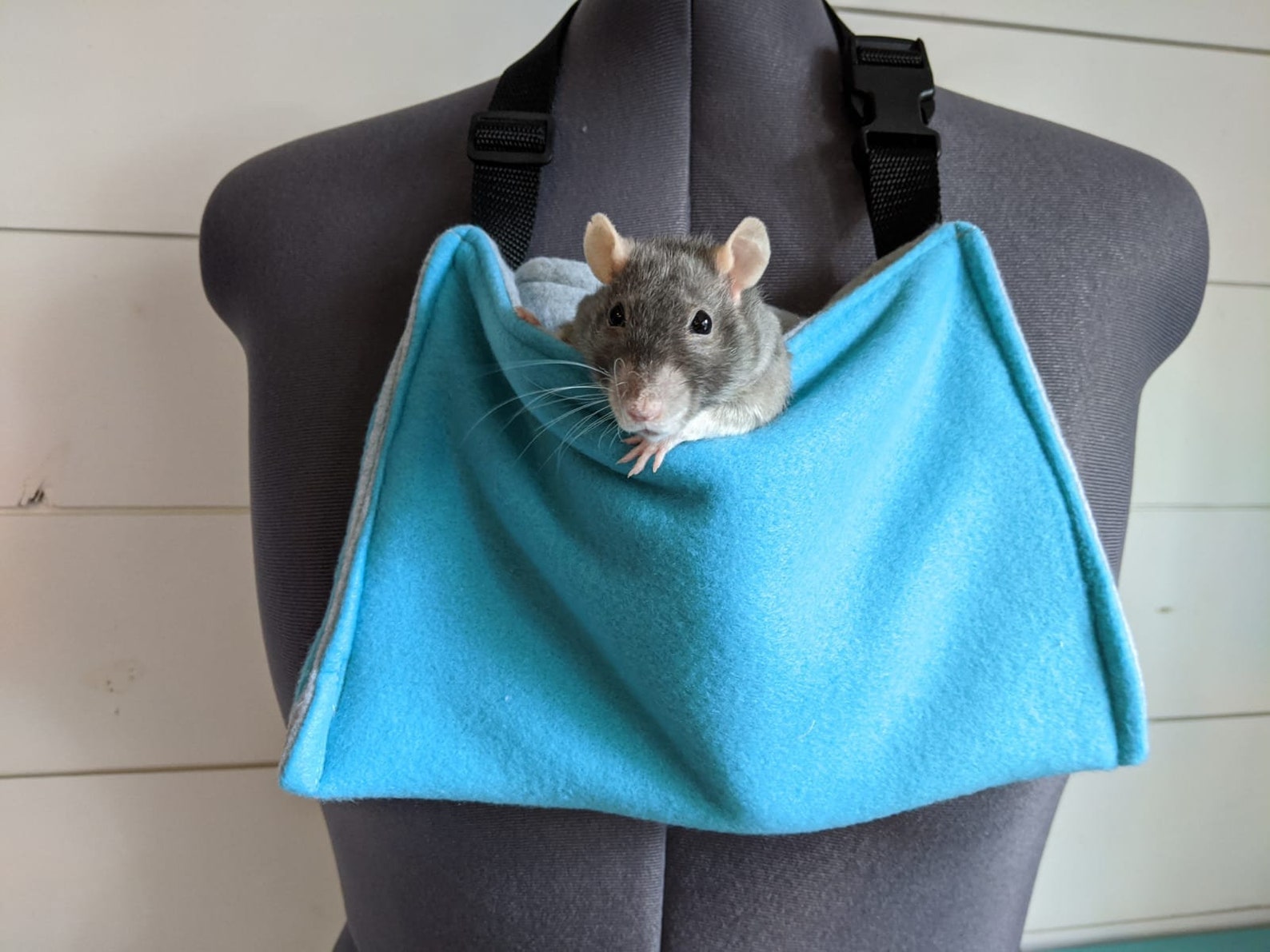 Small Animal Bonding Pouch With Adjustable Strap - 10 X 7 in - Great ...