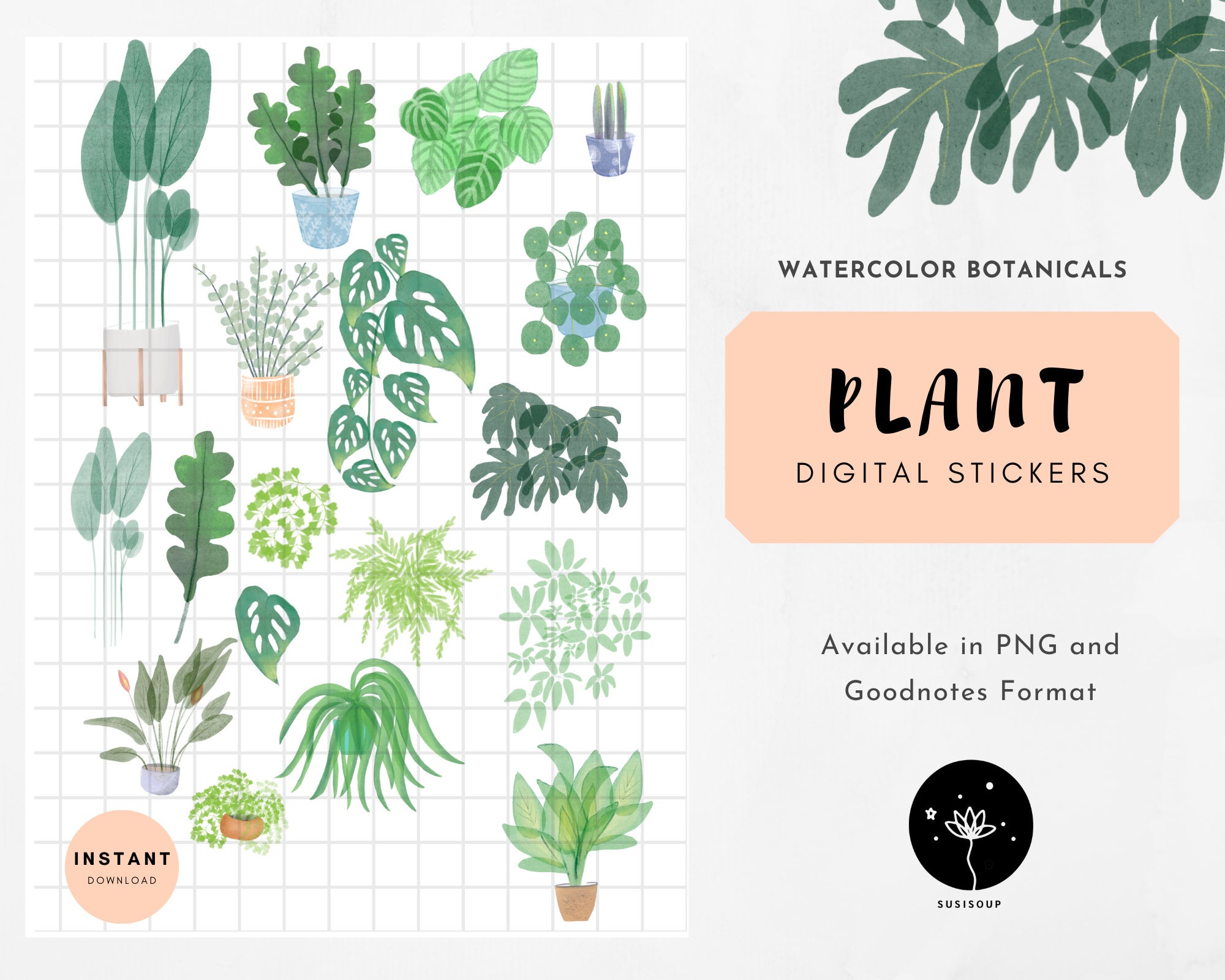 House Plant Stickers for Digital Planners , Decorative Botanical Plants ...