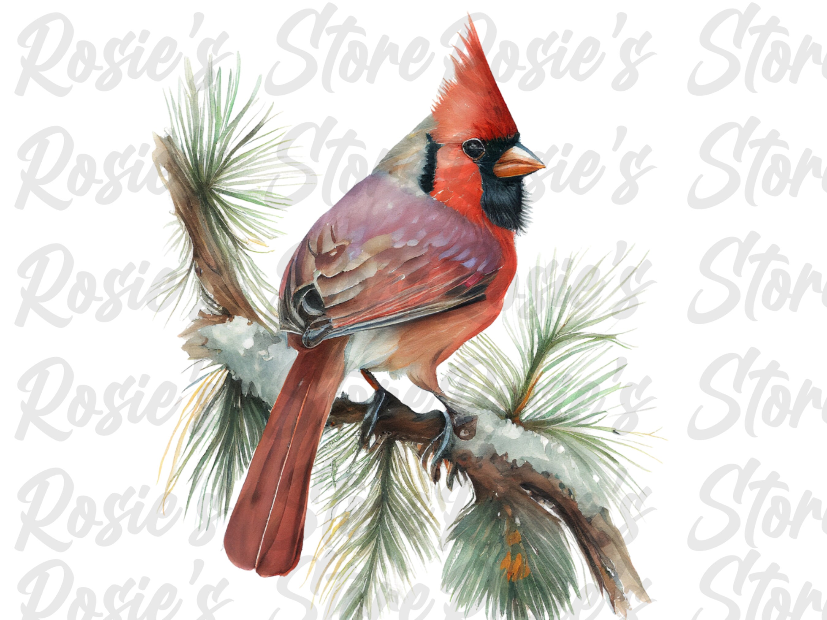 Cardinal Cardina Art Cardinals Design Cardinal Digital Cardinal Svg ...