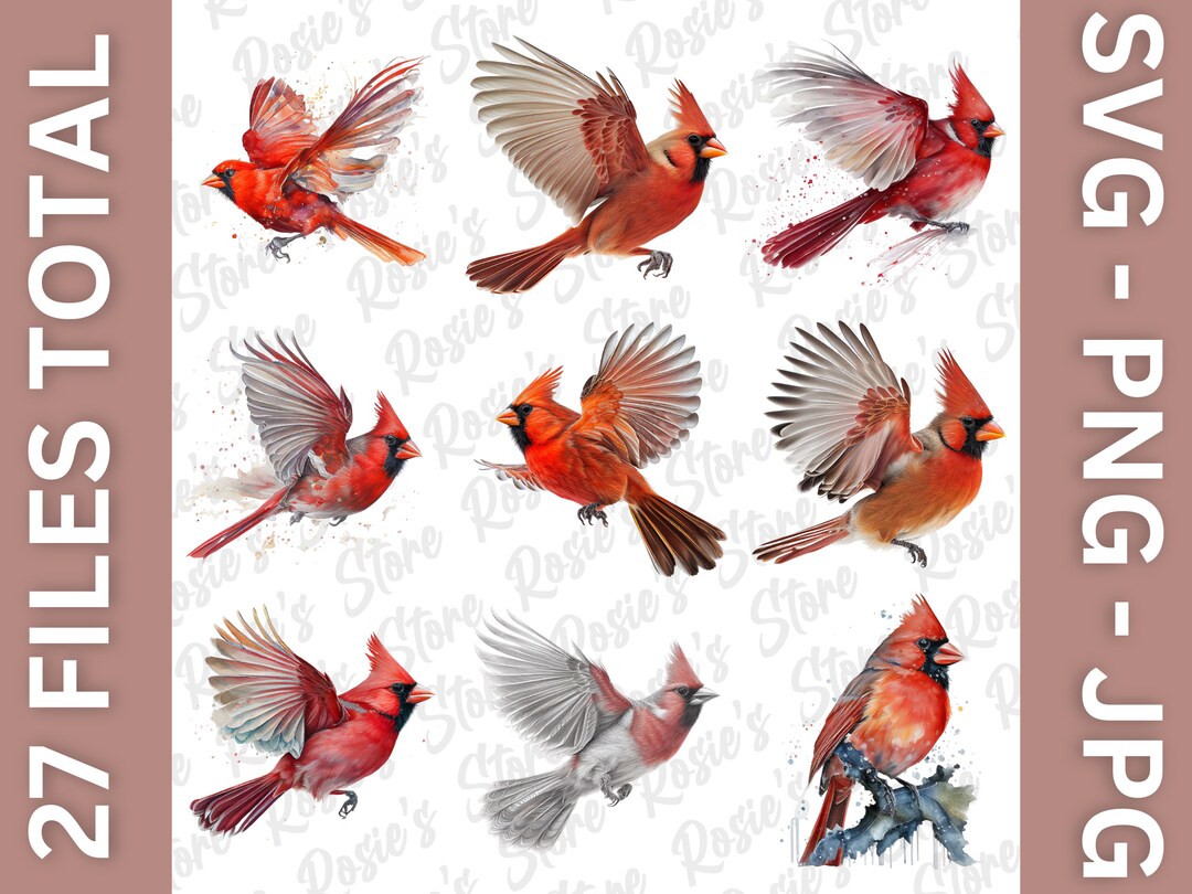 Cardinal Cardina Art Cardinals Design Cardinal Digital Cardinal Svg ...