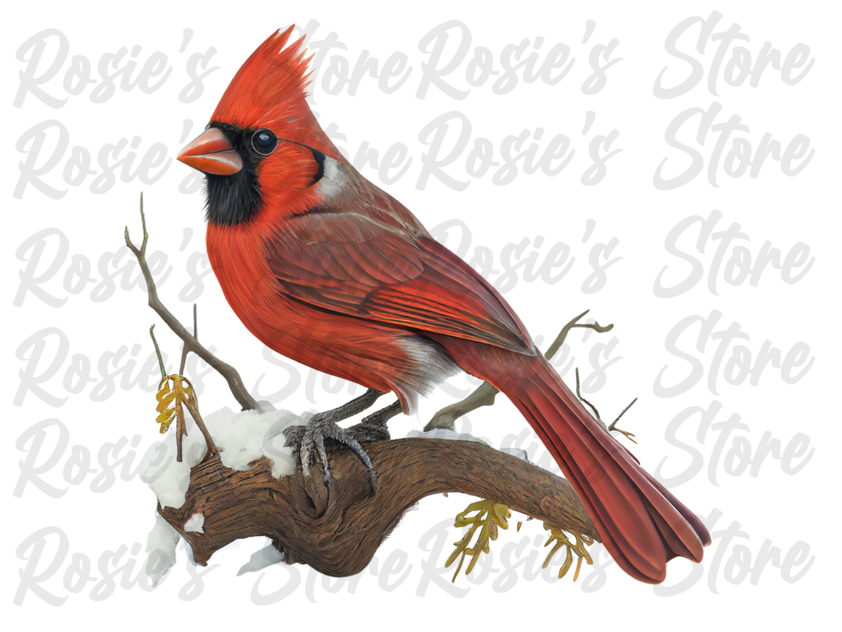Cardinal Cardina Art Cardinals Design Cardinal Digital Cardinal Svg ...