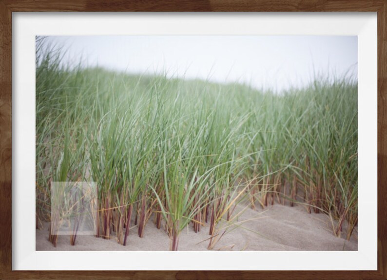 Printable Modern Seagrass Sand, Minimalist Seagrass Beach Print ...