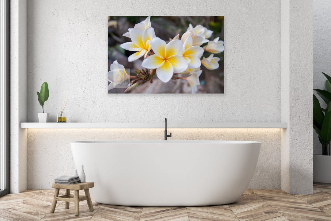 Printable Tropical Plumeria, Modern Plumeria Print, Frangipani Print ...