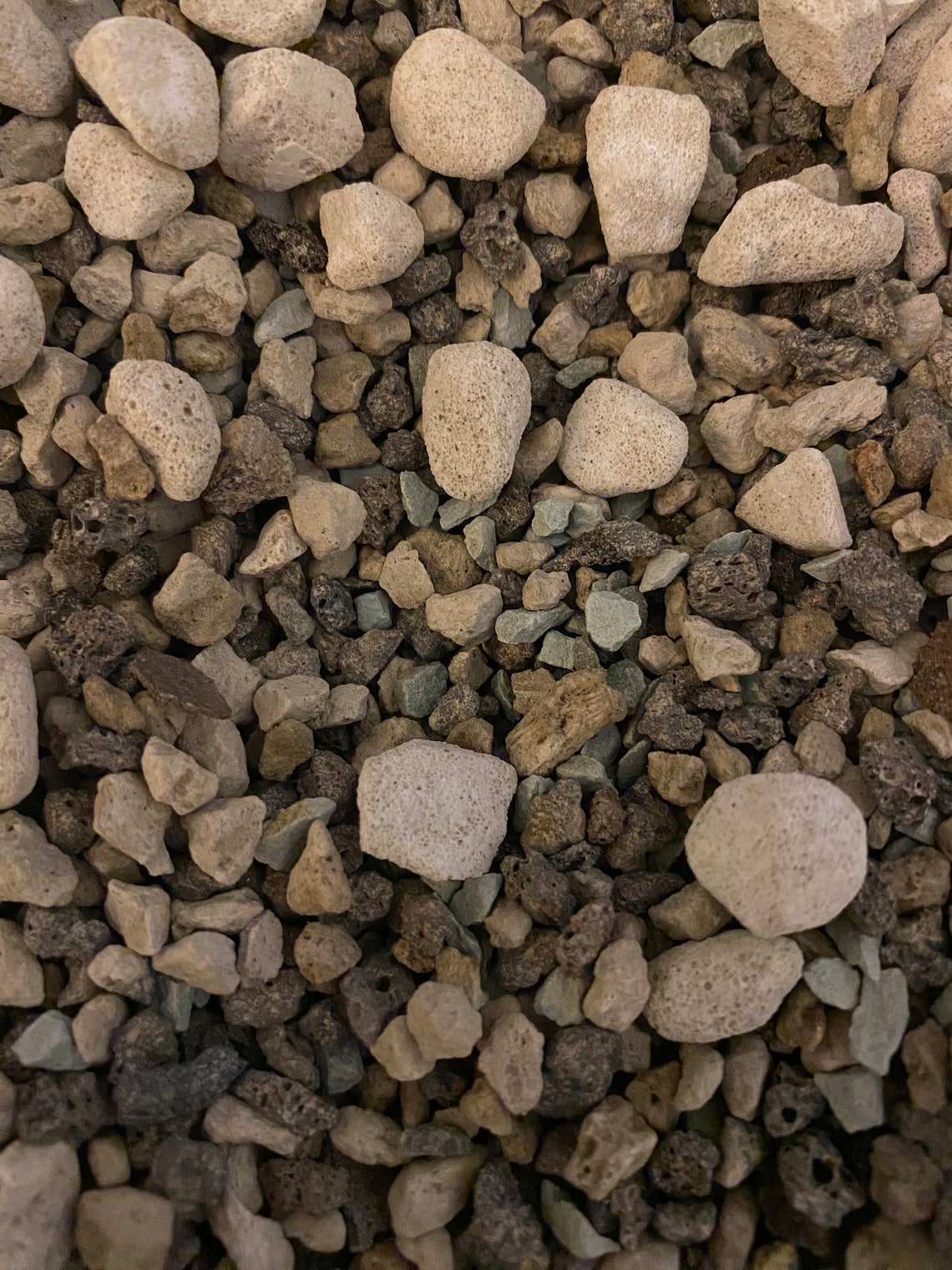 THE CHUNK House Semi-hydroponic Substrate! - Hand Mixed QUART - Lechuza ...