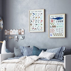 Ocean Animal Alphabet and Number Print Sea Creatures Poster Underwater ...