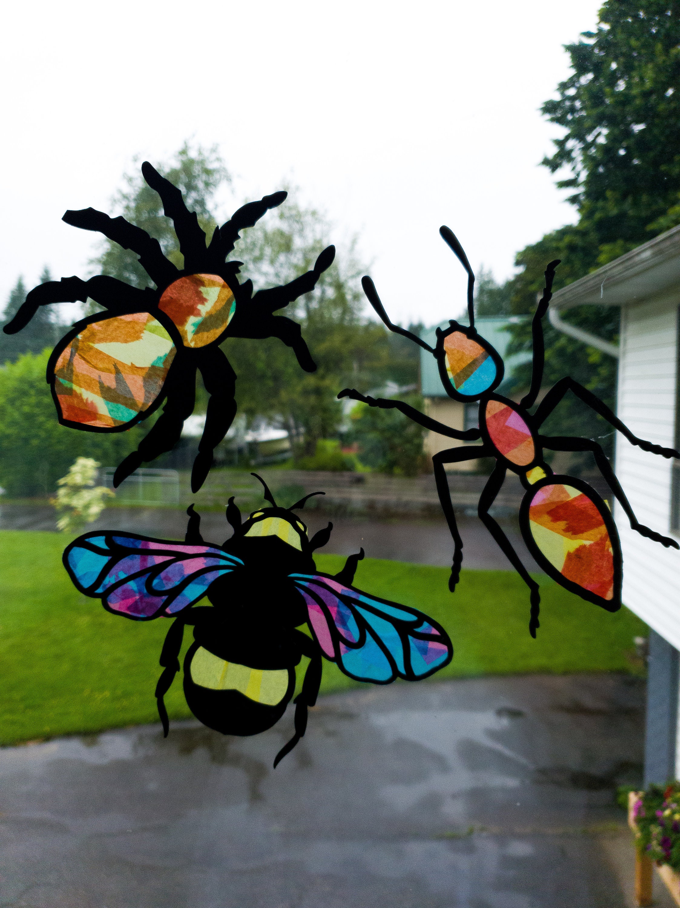 Bugs Suncatcher Kit Kids Craft Kit Stained Glass Tissue - Etsy