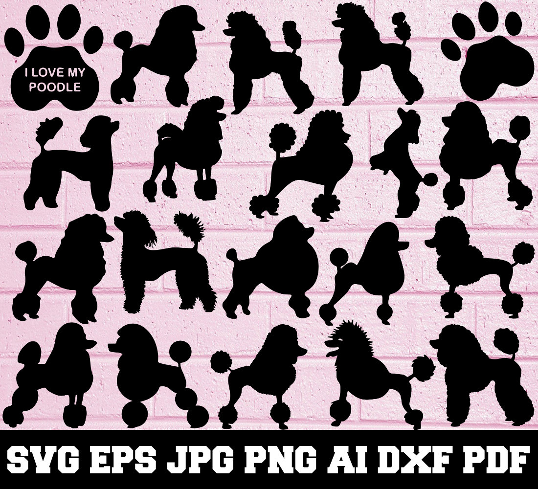Poodle SVG - Poodle Silhouette - SVG Cut Files - Poodle Bundle SVG ...
