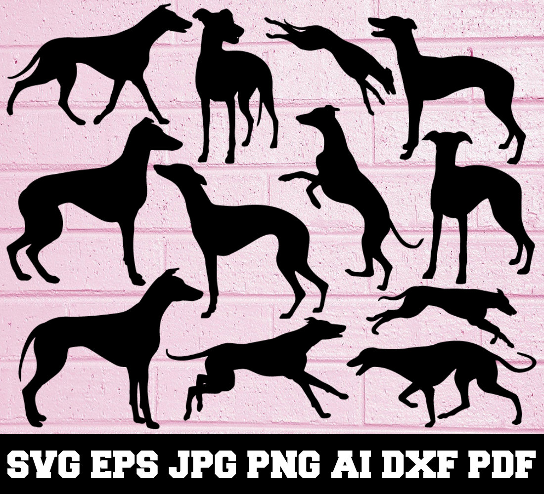 Greyhound SVG - Greyhound Silhouette - Greyhound Bundle SVG - Greyhound ...