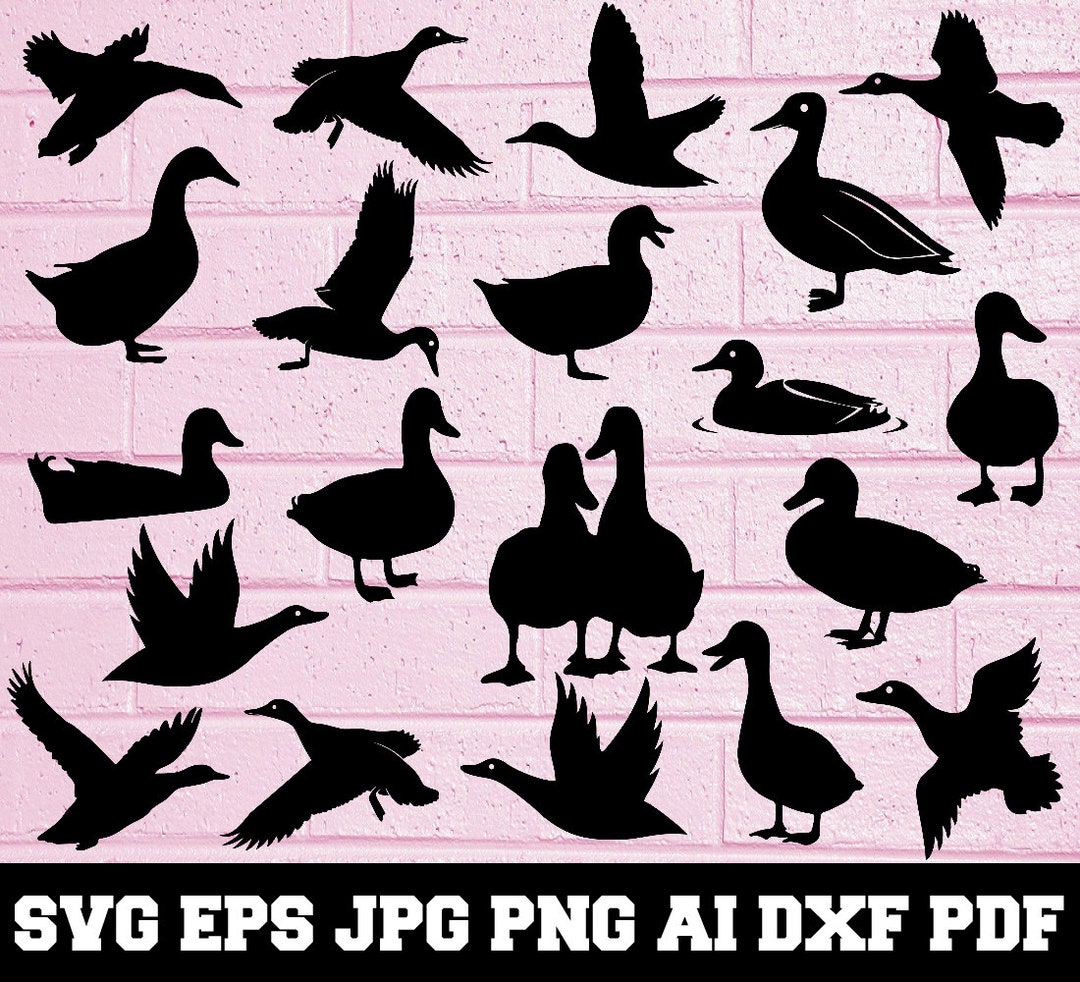 Duck SVG - Animal Svg - Duck Silhouette - SVG Cut Files - Duck Bundle ...