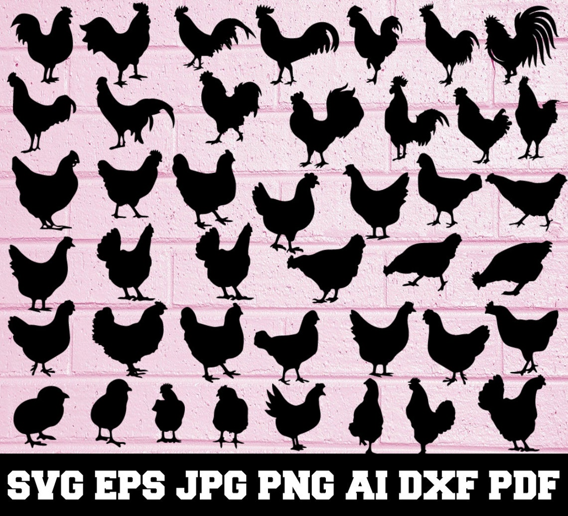 Chicken SVG - Chicken Silhouette - SVG Cut Files - Chicken Bundle SVG ...