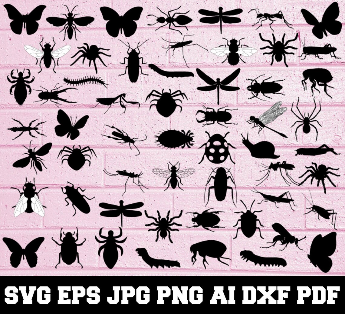 Insect SVG - Insect Silhouette - SVG Cut Files - Insect Bundle SVG ...