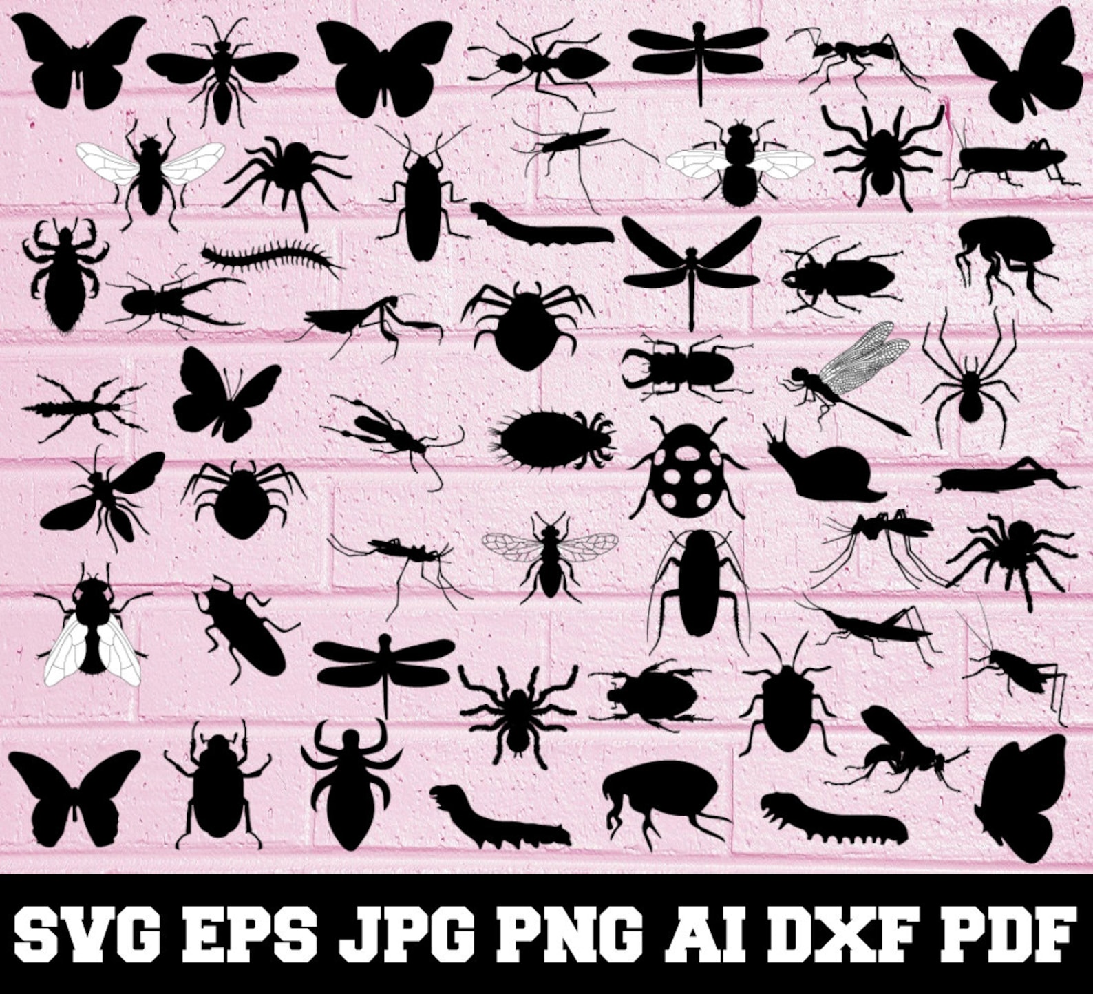 Insect SVG - Insect Silhouette - SVG Cut Files - Insect Bundle SVG ...