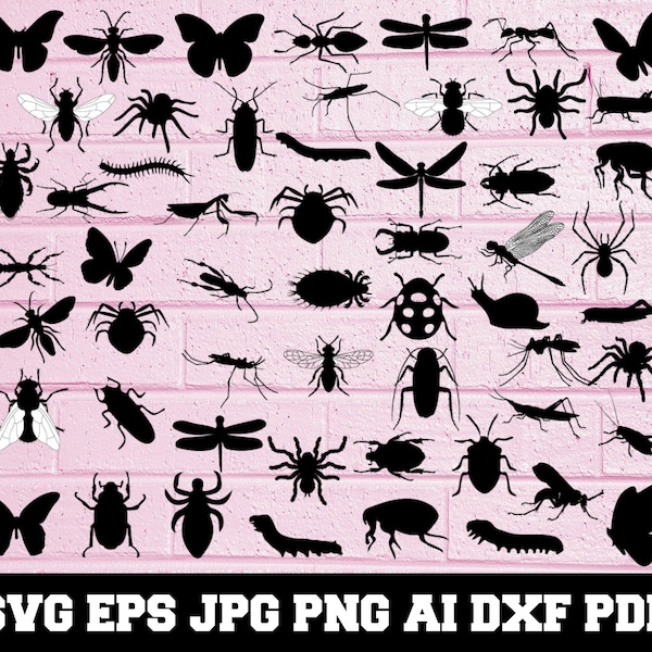 Insect Clipart - Etsy