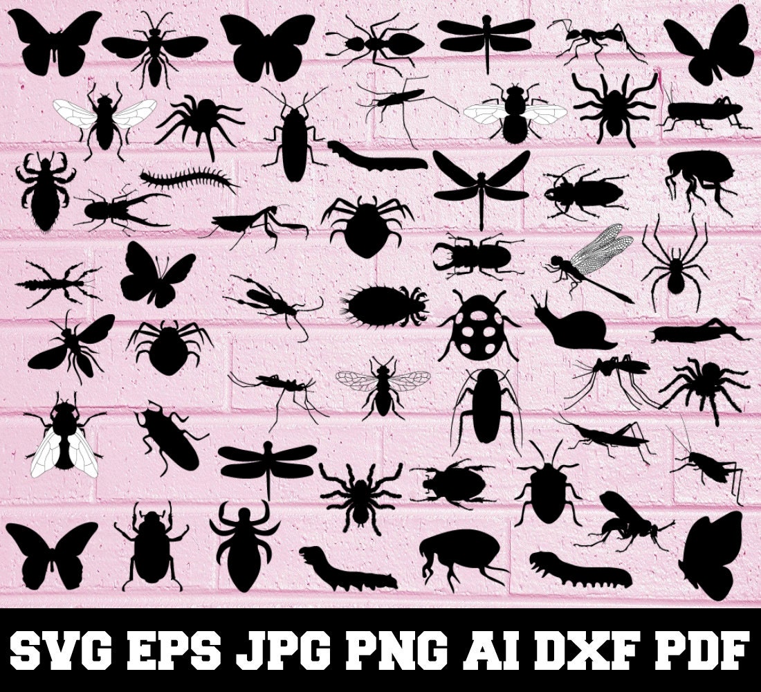 Insect SVG - Insect Silhouette - SVG Cut Files - Insect Bundle SVG ...