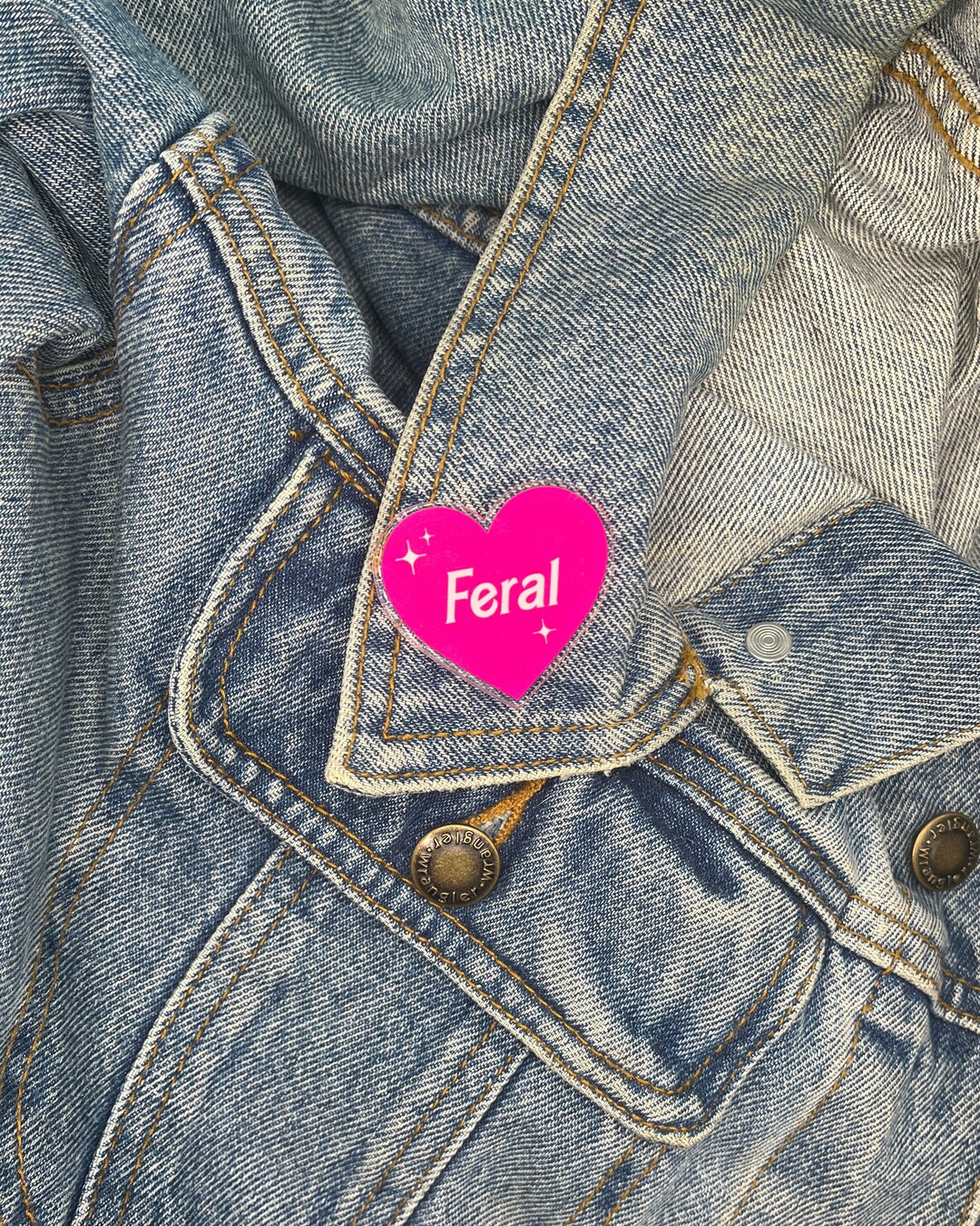 Feral Acrylic Pin | Funny Meme Barbiecore Feral Girl Weirdcore Lovecore ...