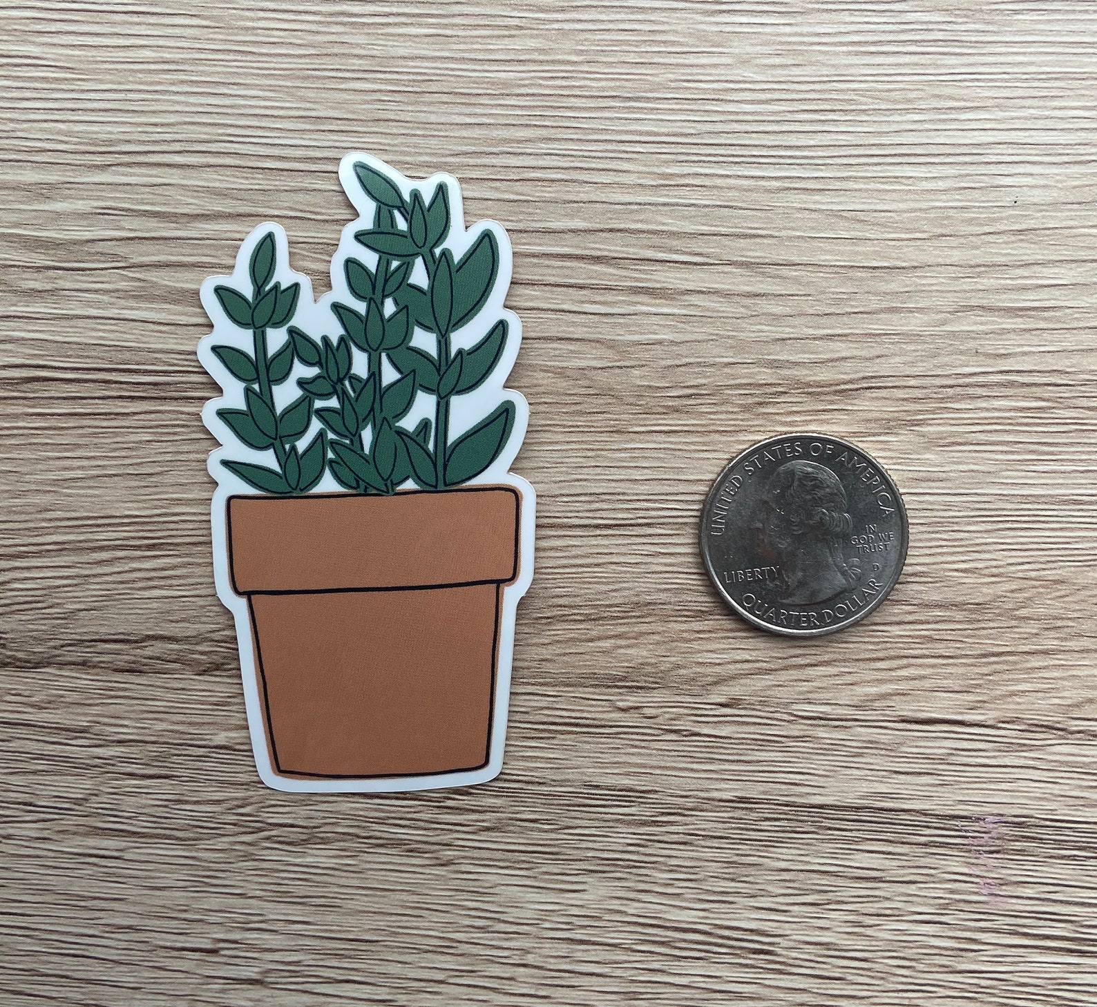 Plant Sticker | Waterproof Sticker | FREE SHIPPING - Etsy