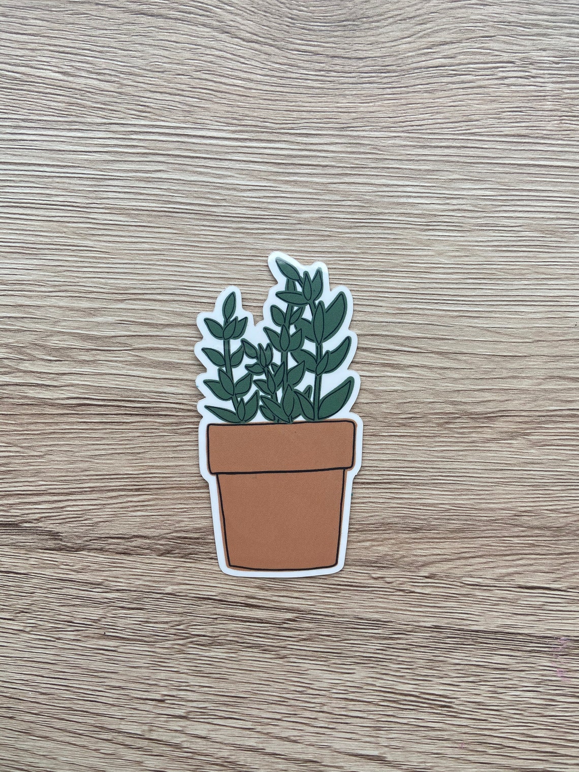 Plant Sticker | Waterproof Sticker | FREE SHIPPING - Etsy